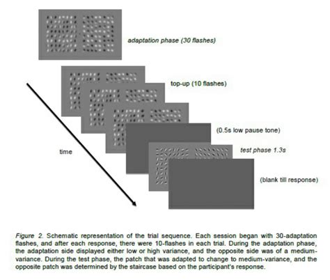 Pdf Identifying The Spatial Frequency Specific Orientation