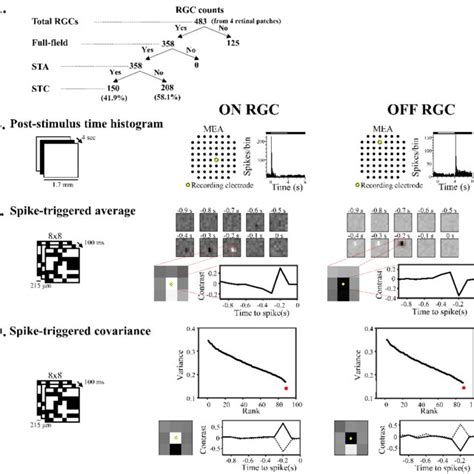 Temporal Pattern Classification Based On Stc Analysis A