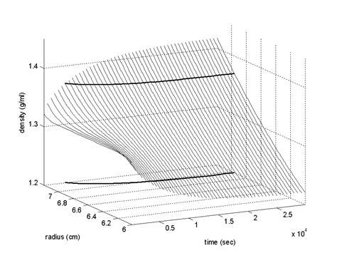 Dynamic Density Gradients