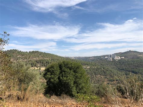 Moadim Lsimcha And Shabbat Shalom Chicago Jewish Funerals