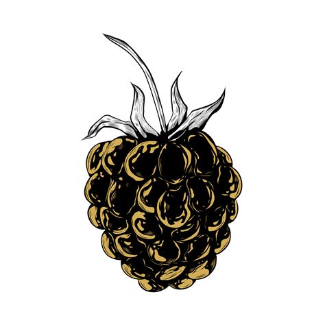 Ba Raspberry Sour 2022 Rocky Ridge Brewing Co