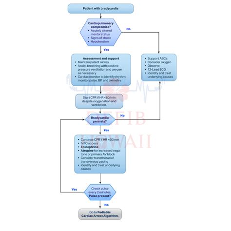 Pals Bradycardia Algorithm For Healthcare Providers