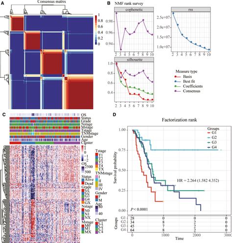 Identification Of Molecular Subtypes Of Pancreatic Cancer A Download Scientific Diagram