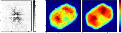 Example Data Analysis On Coherent Diffraction Imaging Of Single