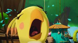 Poppy Pictures Compilation R Angrybirds