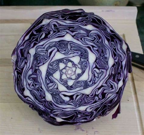 61 Fibonacci Sequence Ideas In 2025 Fibonacci Fibonacci Sequence