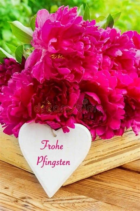 Frohe Pfingsten Bilder Schöne Gruße Zu Pfingsten