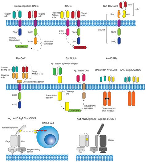 Various Applications Of Logic Gated Car Constructs Split Recognition Download Scientific