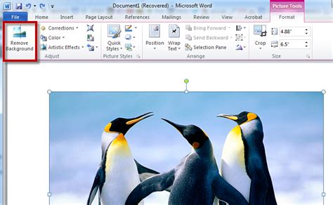 Clear Text Formatting In Word 2010 Amelaphiladelphia