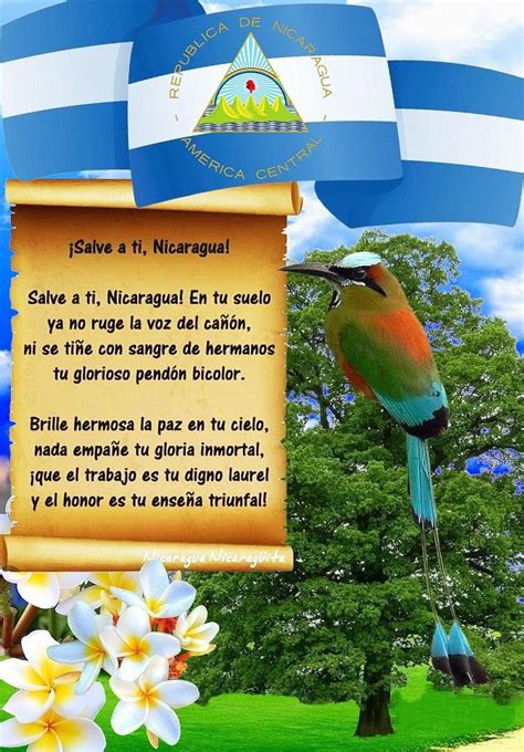 Pinterest Simbolos Patrios Bandera Nacional Actividades Escolares