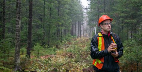 Getting Certified And Implementing Forestry Sfi Atfs Sustainable Forestry Sustainable Forestry
