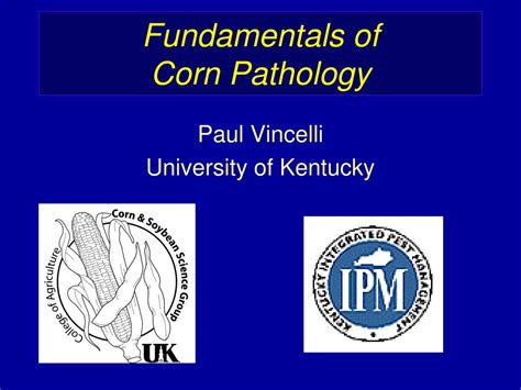 Ppt Fundamentals Of Corn Pathology Powerpoint Presentation Free