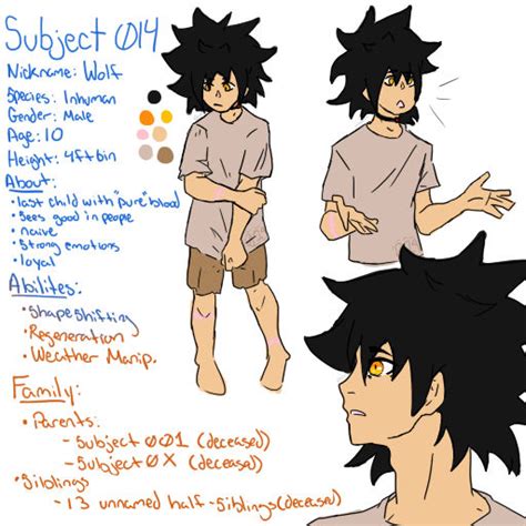 Wolf Ref Sheet By Onestar563 On Deviantart