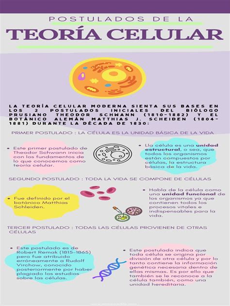 Postulados De La Teoria Celular Pdf