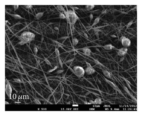 Morphology And Microstructure Of Three Electrospun Pvdf Webs A D And