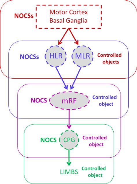 Reinterpretation Of The Scheme Presented On Fig 3 Based On The Neural
