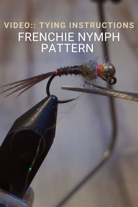 How To Instructions For The Frenchie Nymph Pattern