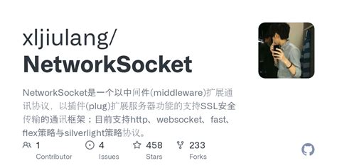 Github Xljiulang Networksocket Networksocket Middleware Plug Ssl