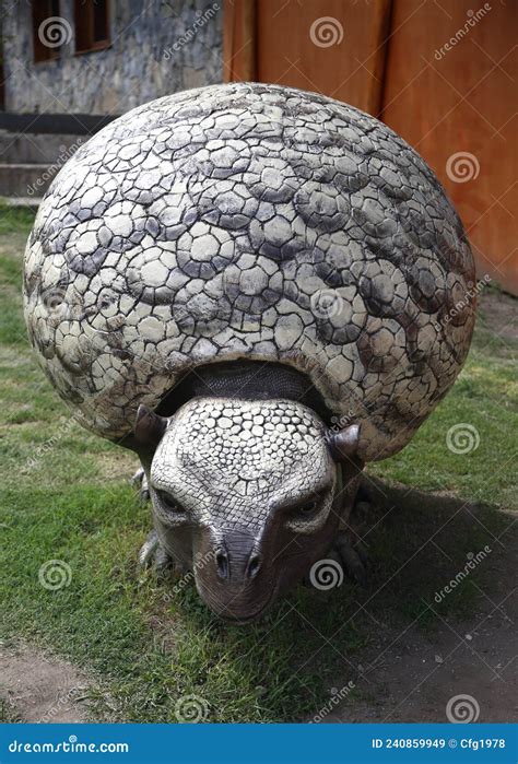 Glyptodon Is An Extinct Genus Of A Large Armored Mammal Dinosaur