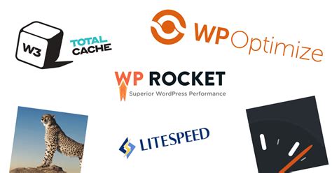 Top 6 Best Pro Wordpress Caching Plugins To Speed Up Your Website 2024