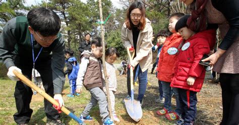 나무심는 고사리 손