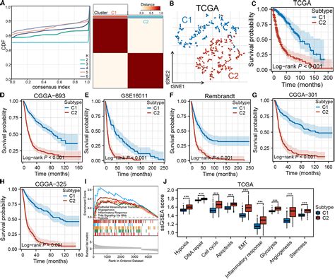 Machine Learning Based Integration Develops A Hypoxia Derived Signature For Improving Outcomes
