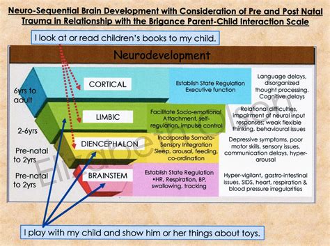 A Mothers Day Potted Plant How We Develop Brain Wise