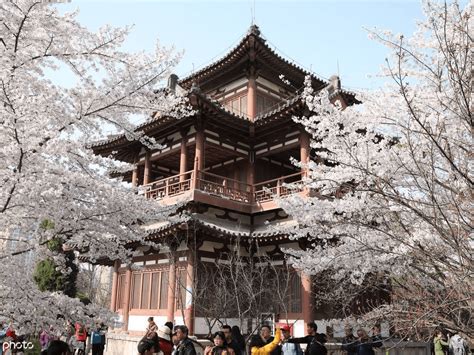 唐朝皇家护国寺庙青龙寺 搜狐大视野 搜狐新闻