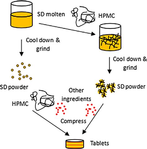 Extended Tacrolimus Release Via The Combination Of Lipid Based Solid Dispersion And Hpmc