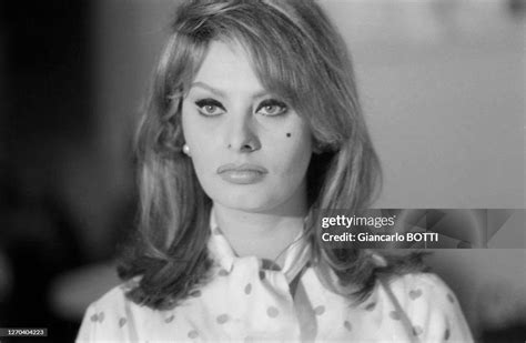 Lactrice Italienne Sophia Loren Lors Dune Séance Dessayge De News Photo Getty Images