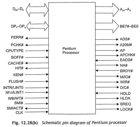 Pin Diagram Of PENTIUM Microprocessor PDF Cpu Cache OFF