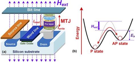 Modeling And Enhancing Magnetic Immunity Of Stt Mram Aip Advances