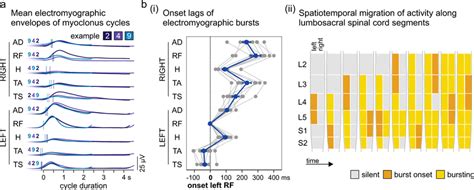 The Self Sustained Rhythmic Activities Exhibit Highly Robust Download Scientific Diagram