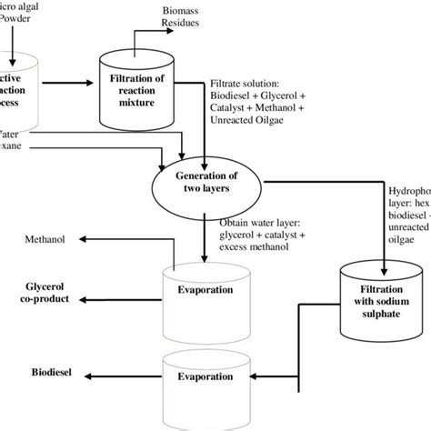 Experimental Set Up Of Reactive Extraction Process For Biodiesel Download Scientific Diagram