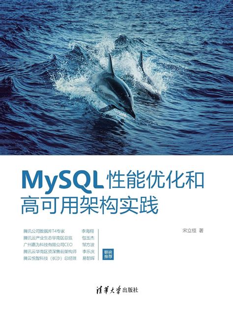 Mysql性能优化和高可用架构实践 Chinese Edition Ebook 宋立桓 Kindle Store