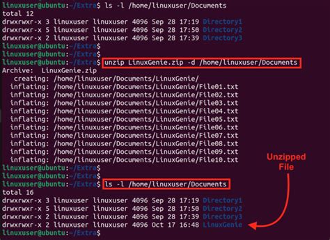 How To Unzip A Zip File In Ubuntu 2204 Linux Genie