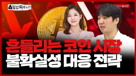 벌면뭐하니 Ep81 양자 기술 미래 코인 불확실성 대응 전략 종목ㅣ알고랜드ㅣ디센트럴랜드ㅣ 코스모스ㅣ도지ㅣ밈코인ㅣ유니스왑ㅣ알트