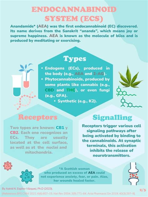 Endocannabinoid System Pptx