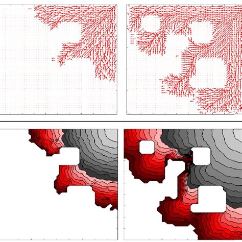 Convergence Dynamics Top Plates Illustrate The Gradient Of The Scalar Download Scientific