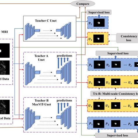 Overview Of The Model Semi Tms The Proposed Network Consists Of Three Download Scientific