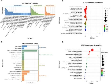 Figure 1 From Olink Proteomics Analysis Uncovers The Landscape Of