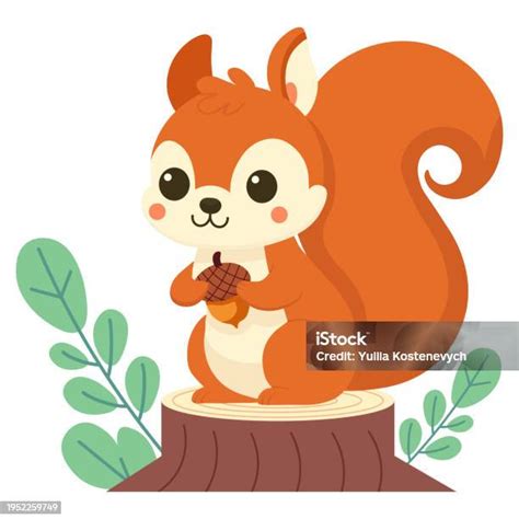 그루터기에 앉아 도토리를 들고 있는 귀여운 다람쥐 벡터 만화 일러스트 다람쥐에 대한 스톡 벡터 아트 및 기타 이미지 다람쥐 도토리 일러스트레이션 Istock
