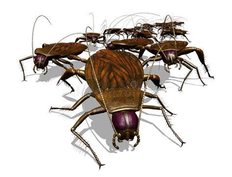 Cockroach Invasion Bug S View Stock Illustration Illustration Of Insect Cockroach 9668209
