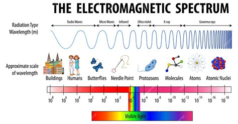 Electromagnetic Spectrum Diagram To Label