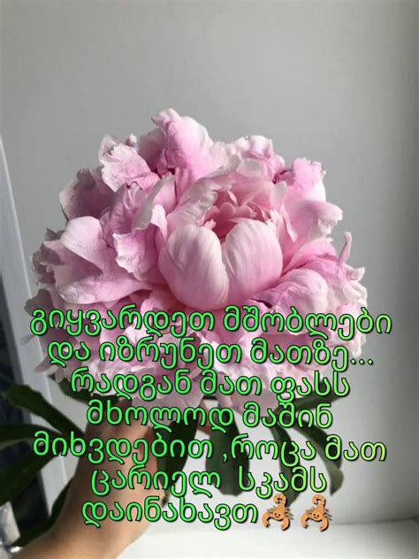 მორიელი მორიელი