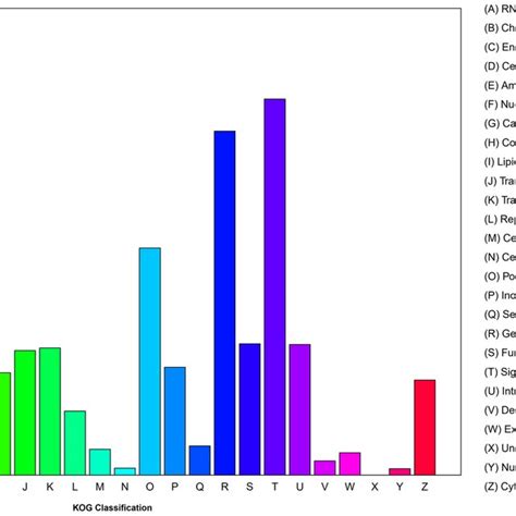 Functional Annotation Of Gene Products From Kegg Database Download Scientific Diagram