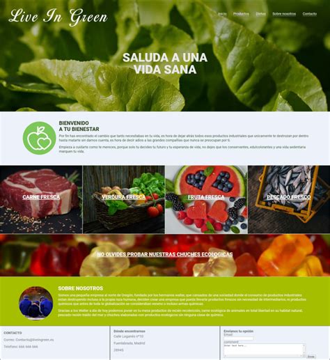 Live In Green Técnicas De Desarrollo Web Con Html5 Y Css3 Domestika
