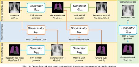 figure 2 from anatomy xnet an anatomy aware convolutional neural