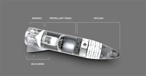 Elon Musk Hints Updates On Spacexs Bfr Are Coming Soon