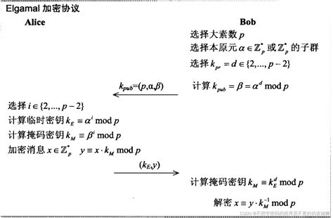 Elagamal和eccelgamal和椭圆曲线实现 Csdn博客